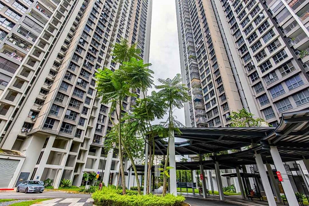 Trivelis Clementi DBSS